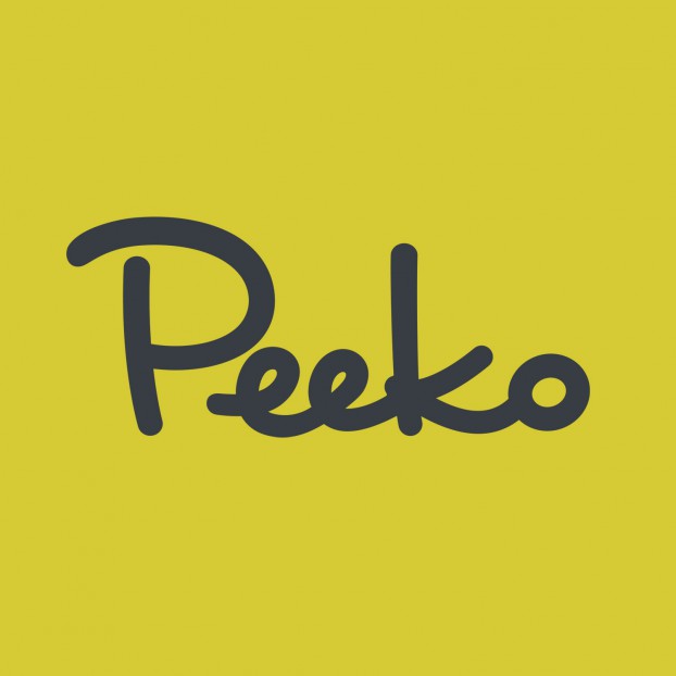 Kidscreen » Archive » Former AGP prez Jeffrey Conrad launches Peeko