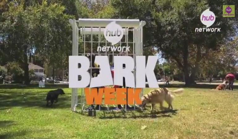 Kidscreen » Archive » From sharks to barks, The Hub to celebrate canine ...