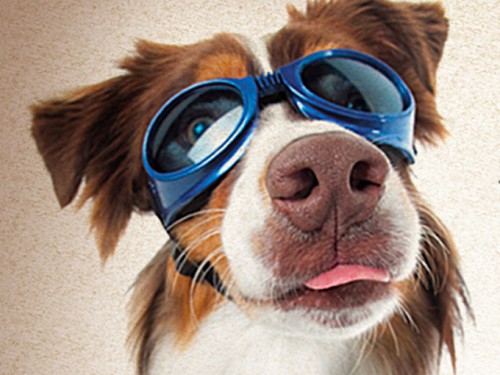 Kidscreen » Toon Goggles