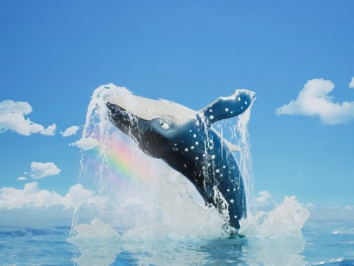 Kidscreen » Archive » Global Screen adopts two wildlife-centric ...